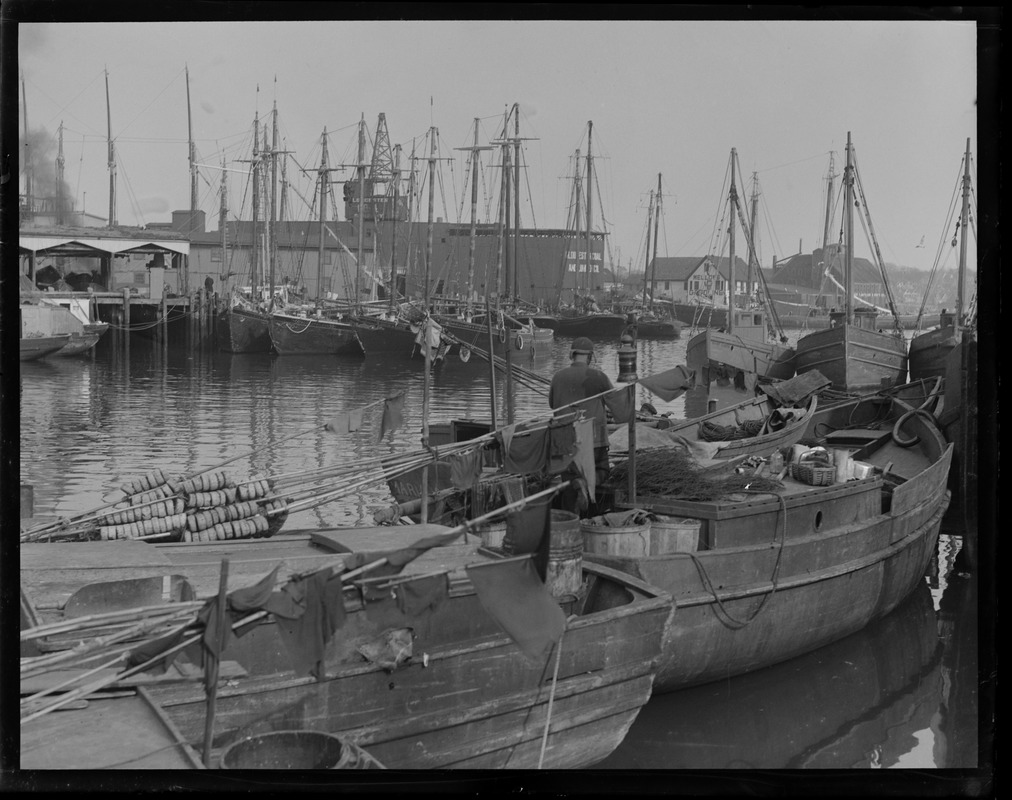 Mackerel fleet, Gloucester Harbor - Digital Commonwealth