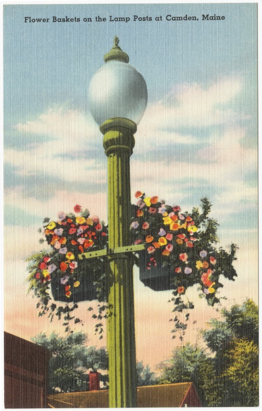 Flower baskets on the lamp posts at Camden, Maine - Digital Commonwealth