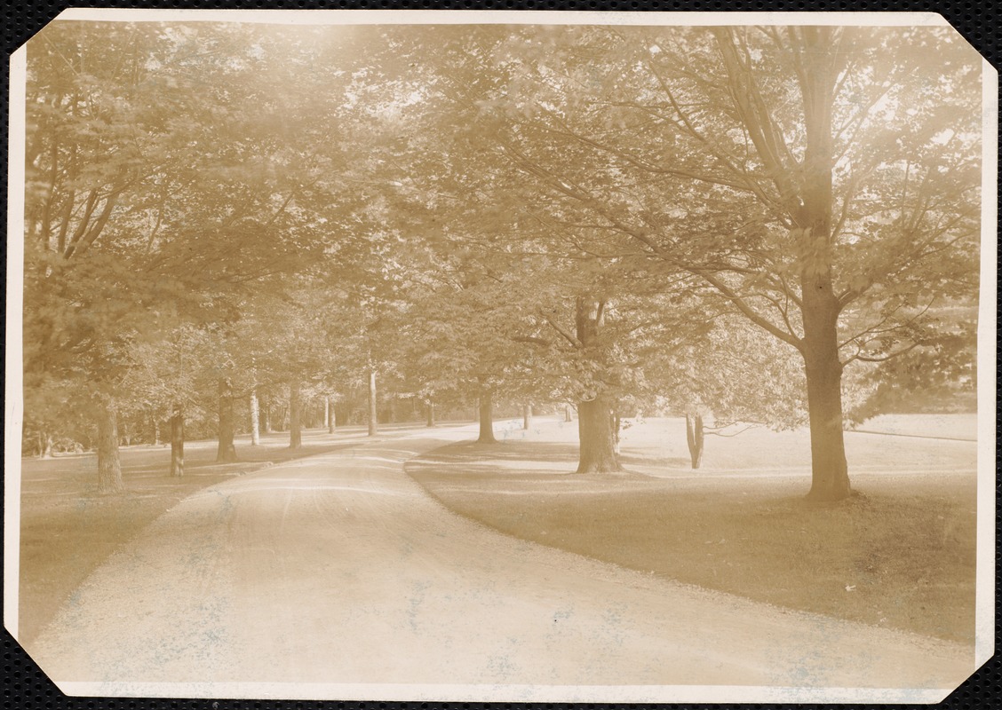 Edgecombe: drive - Digital Commonwealth