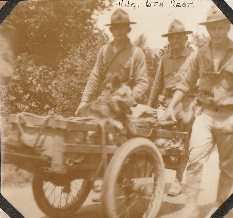 Headquarters 6th Regiment, U.S. Marine Corps encampment, Gettysburg, PA ...