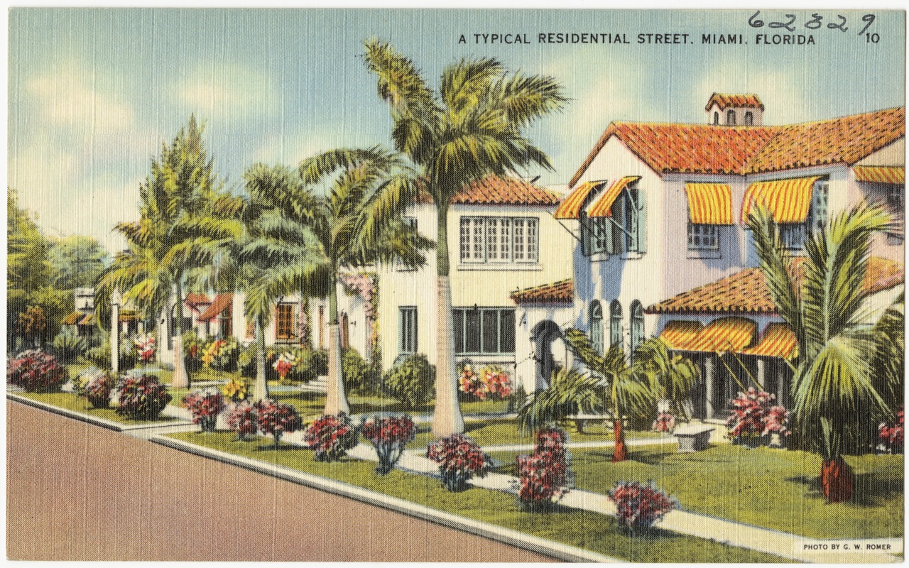 A typical residential street, Miami, Florida - Digital Commonwealth