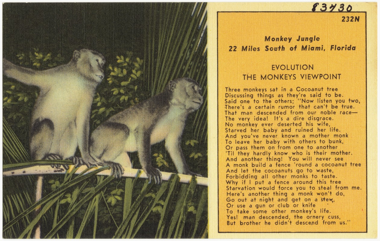 Monkey Jungle, 22 miles south of Miami, Florida - Digital Commonwealth