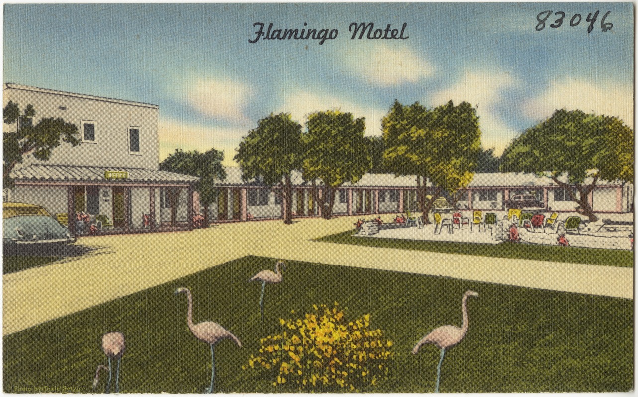 Flamingo Motel - Digital Commonwealth