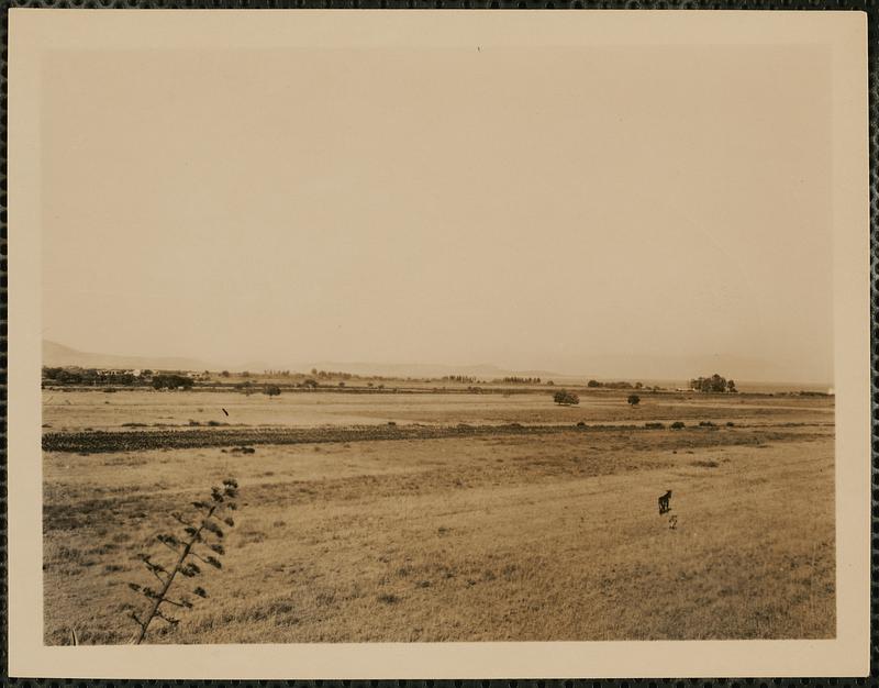 Marathon - plain of the battle - Digital Commonwealth