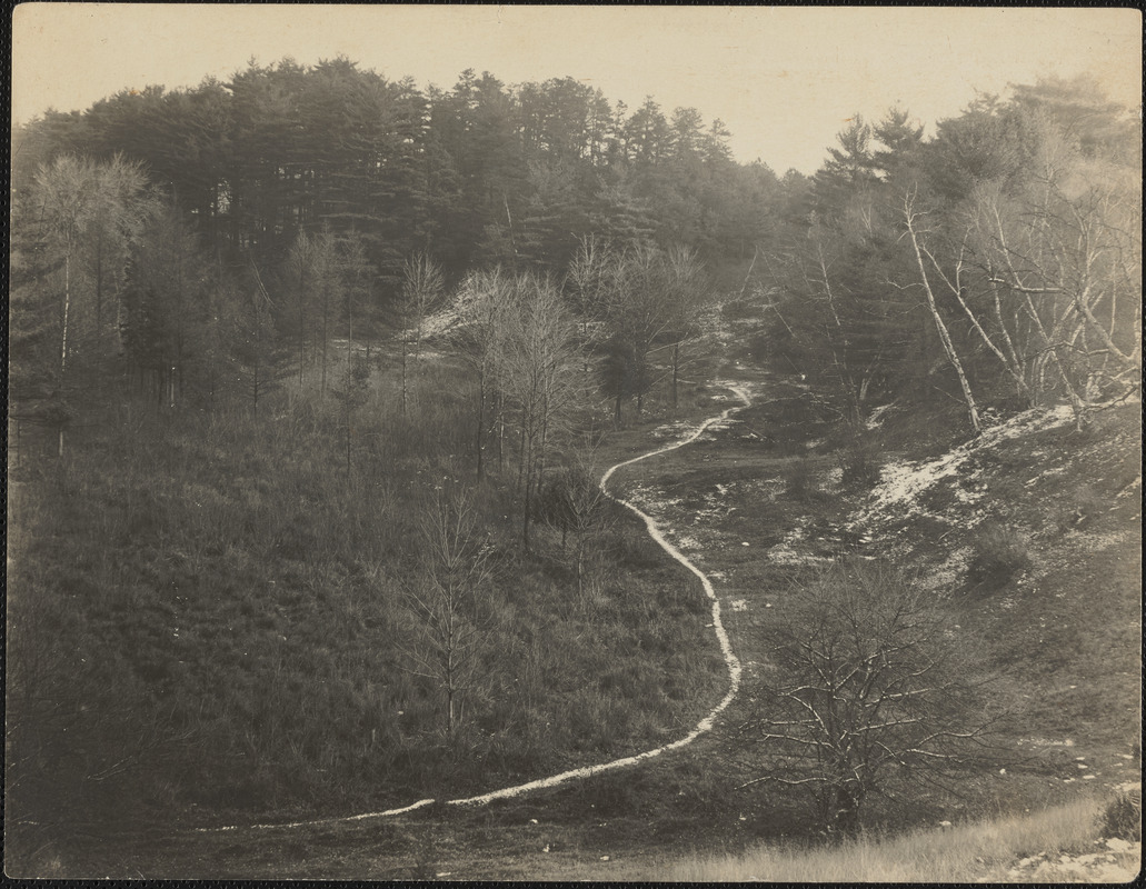 A Section Of The Prehistoric Indian Trail Called The Old Bay Path From Boston To The West