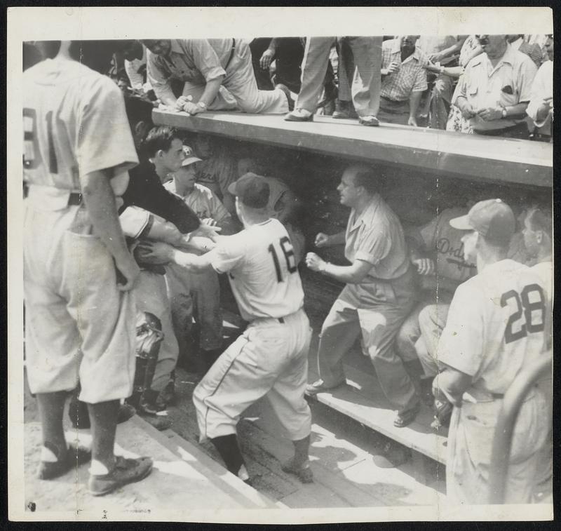 Action on Field and in Dugout as major league pennant races wax hot ...