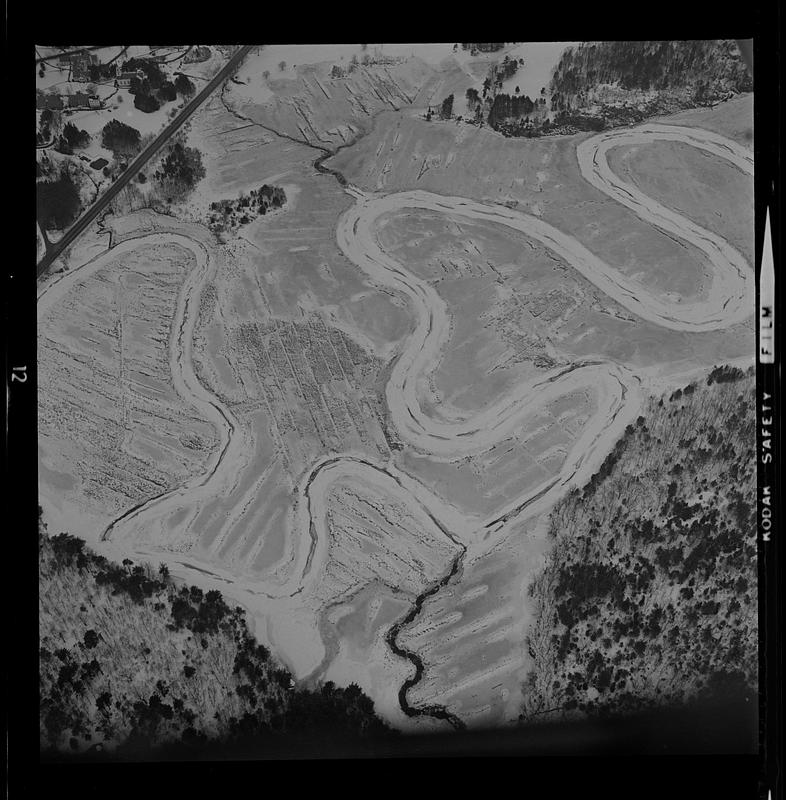 Frozen marsh - Digital Commonwealth