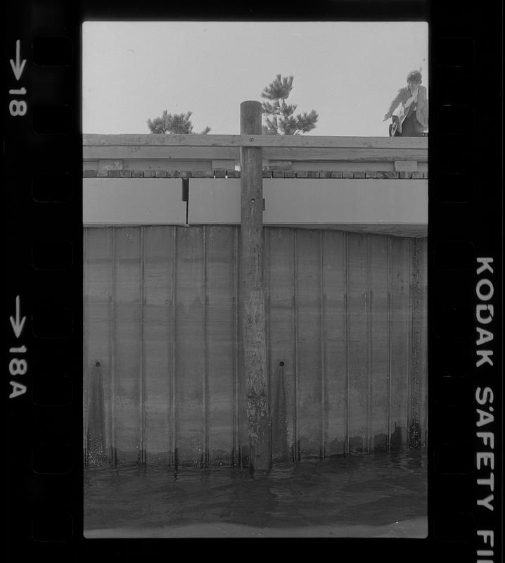 Waterfront pilings - Digital Commonwealth