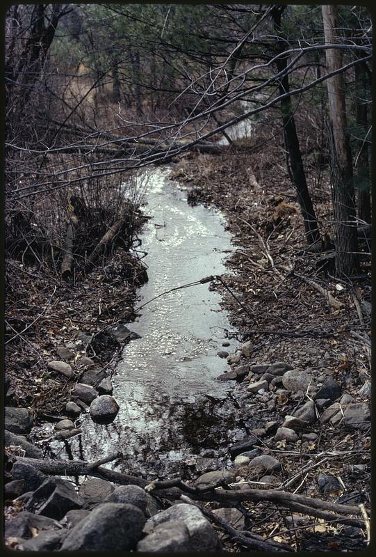 Brook from Farm towards City Mills - Digital Commonwealth