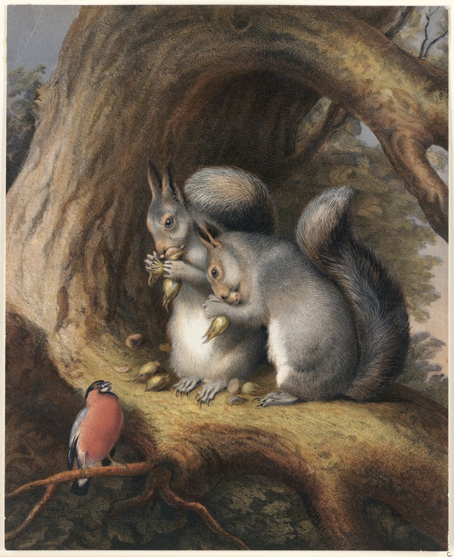 The squirrels and bird under a tree - Digital Commonwealth
