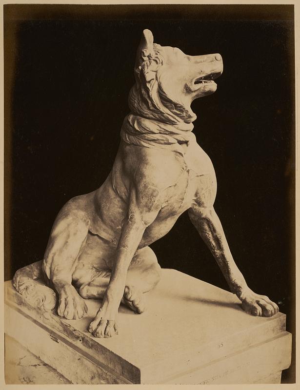 Molossian dog - Digital Commonwealth