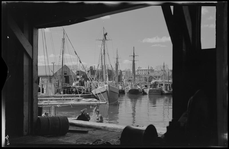 View of Gloucester Harbor from under a dock, Gloucester - Digital Commonwealth