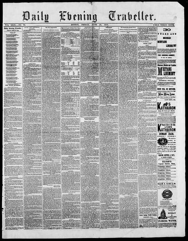 Daily Evening Traveller. June 27, 1873 - Digital Commonwealth