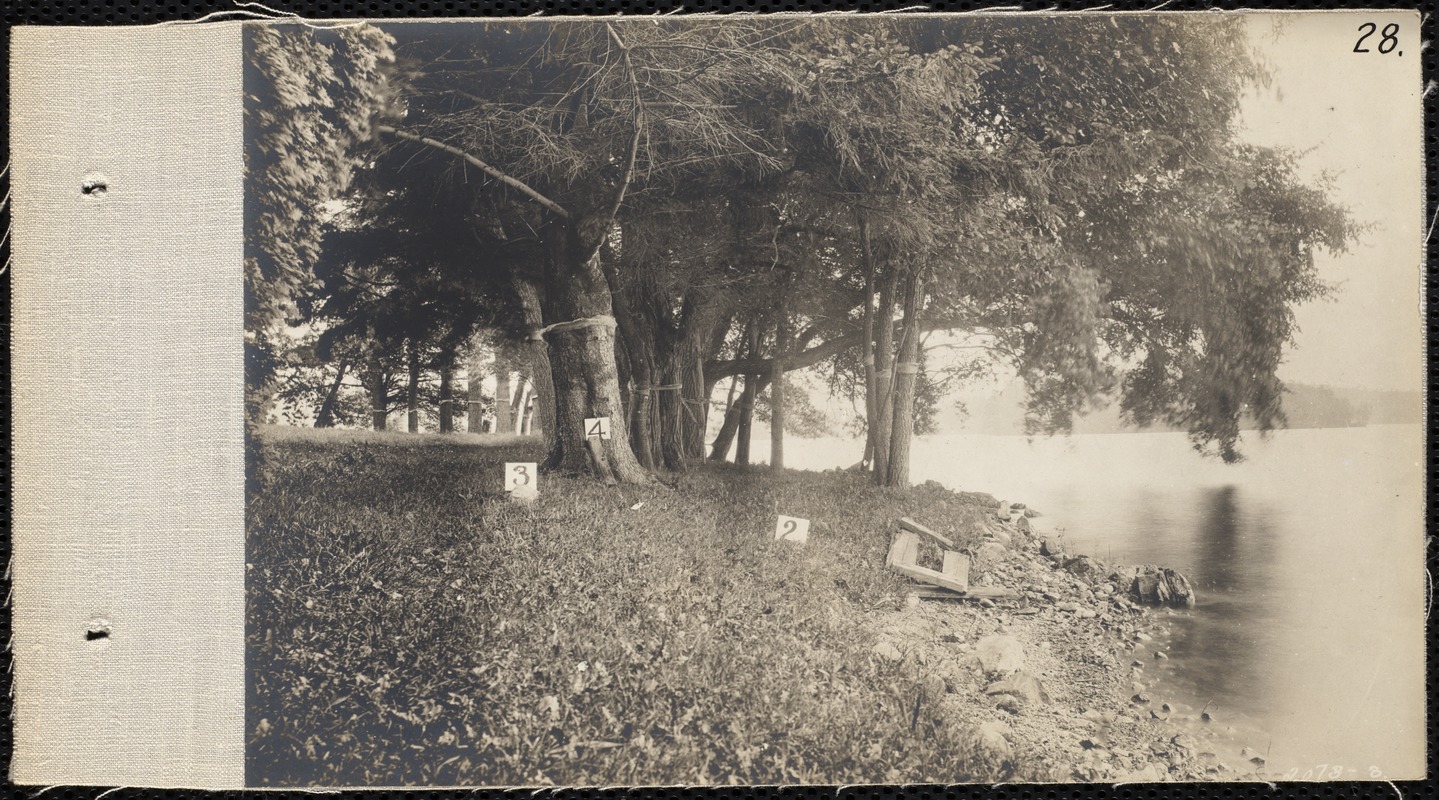 Distribution Department, Low Service Spot Pond Reservoir, eastern shore ...