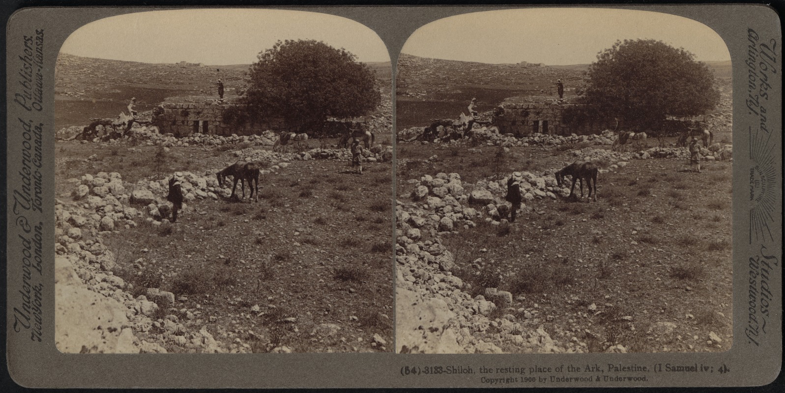 Shiloh, the resting place of the Ark, Palestine (I Samuel iv : 4 ...