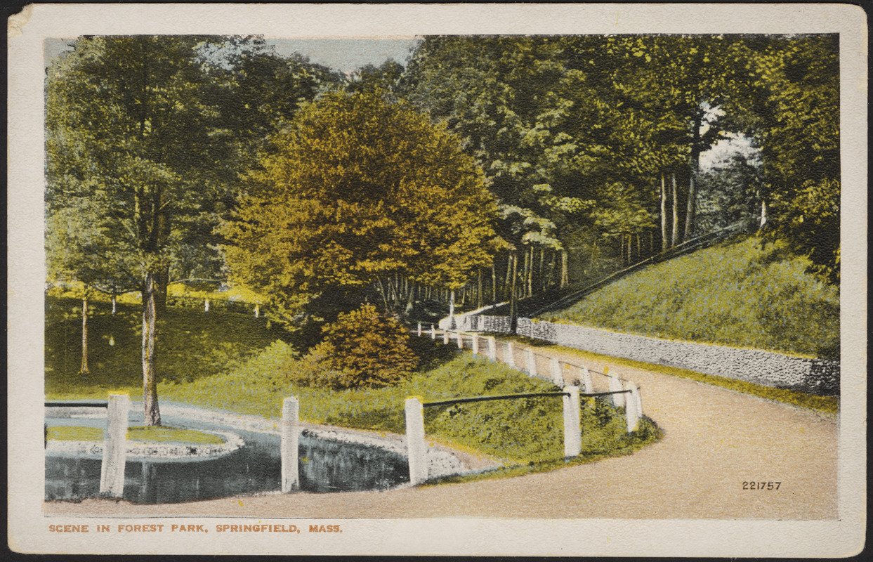 Scene in Forest Park, Springfield Mass. - Digital Commonwealth