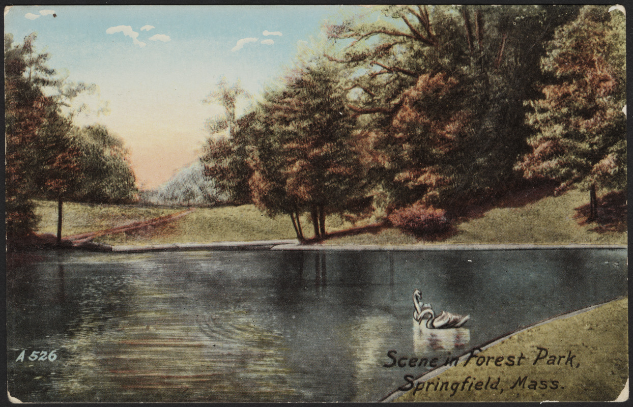 Scene in Forest Park, Springfield, Mass. - Digital Commonwealth