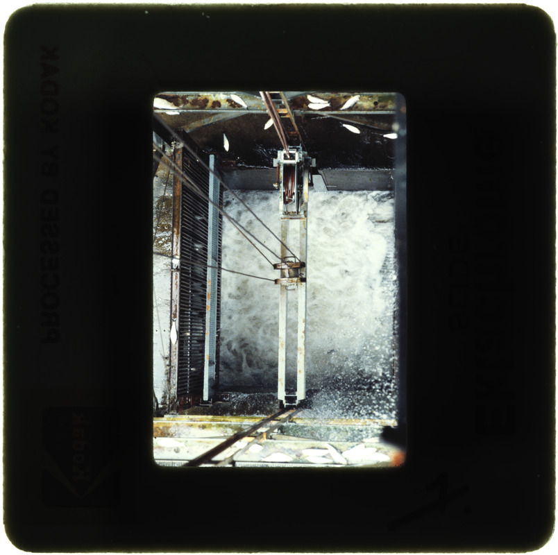 Fish lift, close-up fish bucket in mid-air - Digital Commonwealth