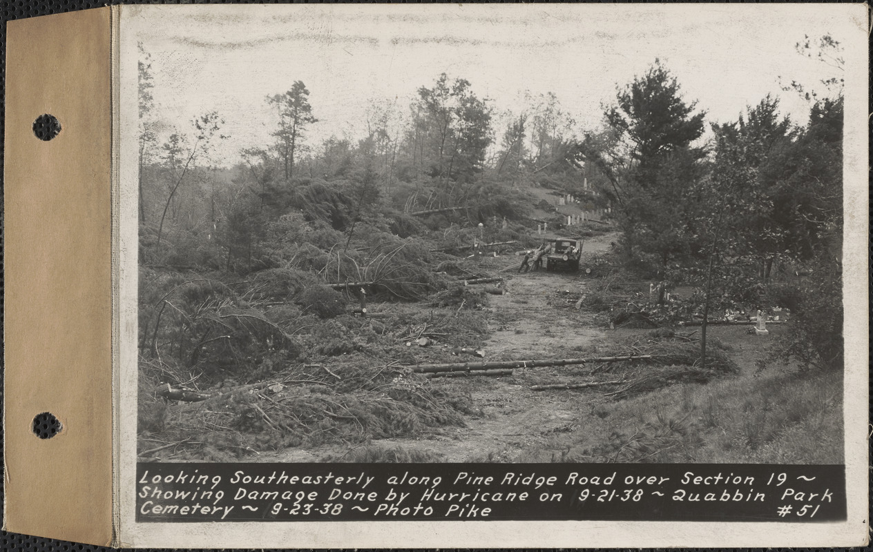 Looking southeasterly along Pine Ridge Road over section 19, showing ...