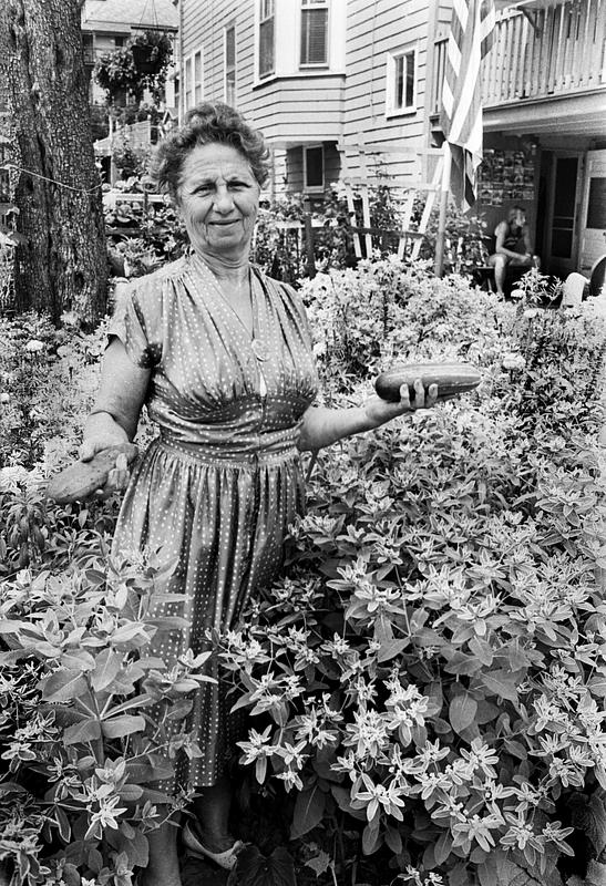 Ann Vetere in her garden - Digital Commonwealth