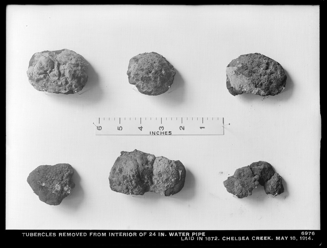 Distribution Department, Low Service Pipe Lines, Tubercles removed from ...