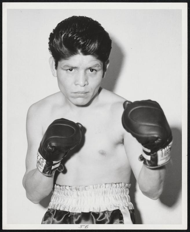 Lauro Salas Boxer - Digital Commonwealth