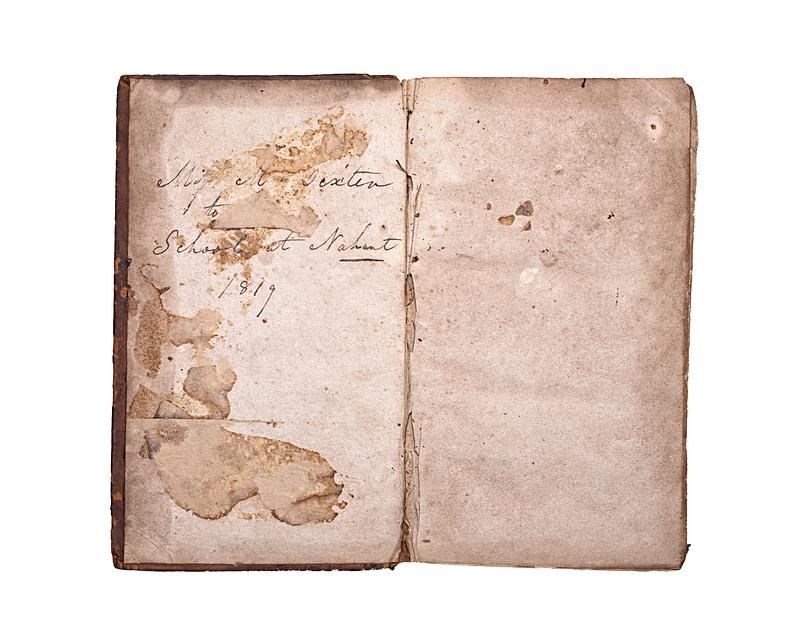 The Saracen: or Matilda and Malek Adhel - Digital Commonwealth