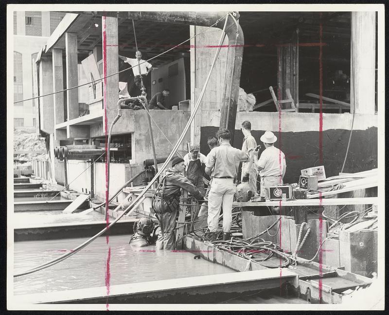 Time for Lunch-Diver James Devaney (second left) surfaces along with ...