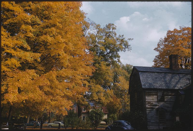 Fall foliage - Digital Commonwealth