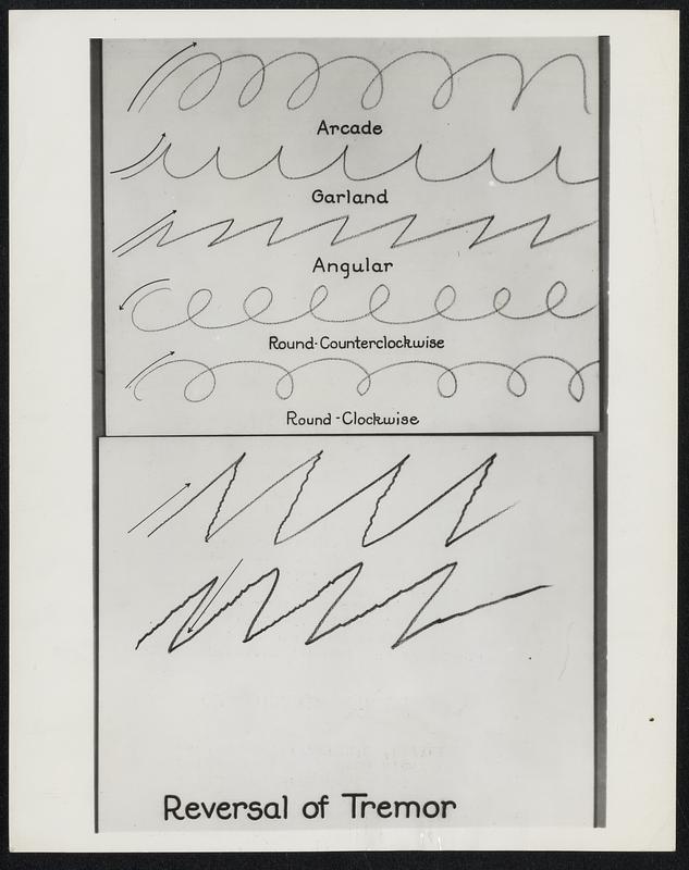 Handwriting Characteristics. All handwriting is based on principles ...