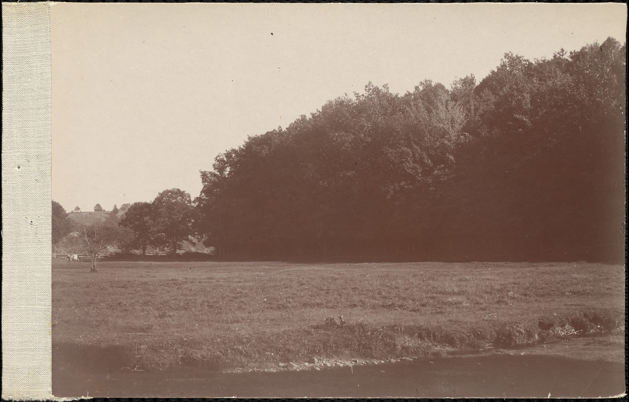 Pasture with stream or river in foreground - Digital Commonwealth