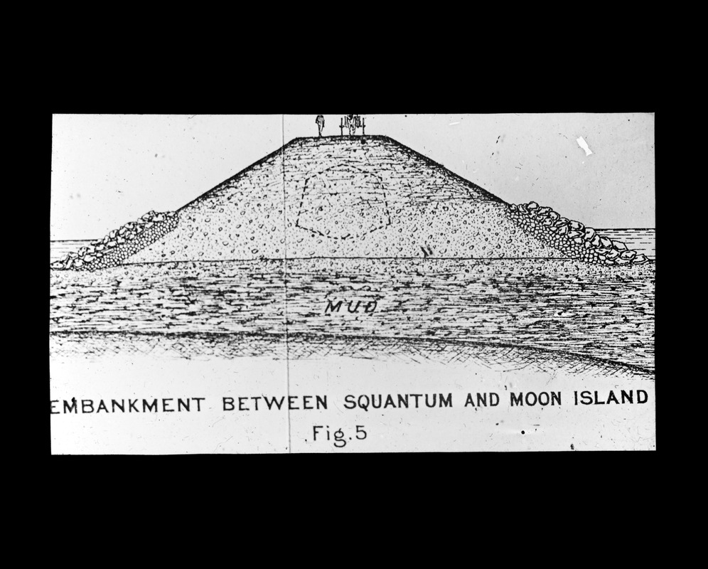 Embankment, Moon Island - Digital Commonwealth