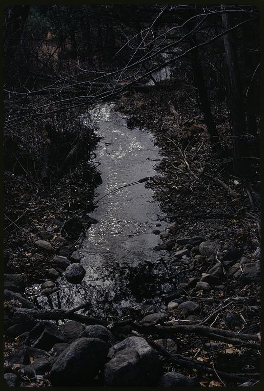 Brook from Farm towards City Mills - Digital Commonwealth