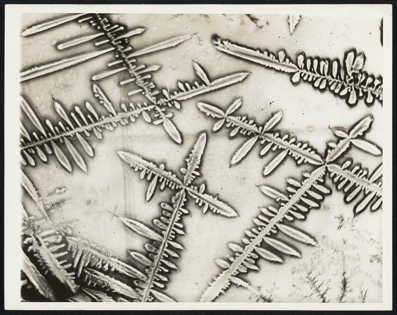 A Poison Magnified Poison, but useful as a nerve stimulant, these ...