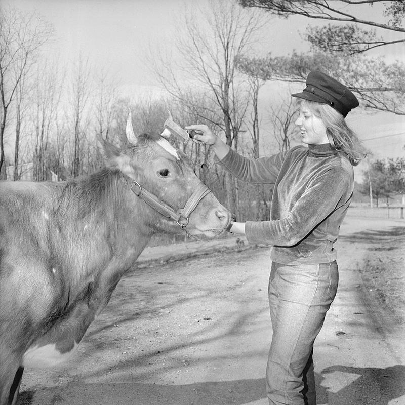 4H Farm, 182 Thompson Street, East Middleboro - Digital Commonwealth