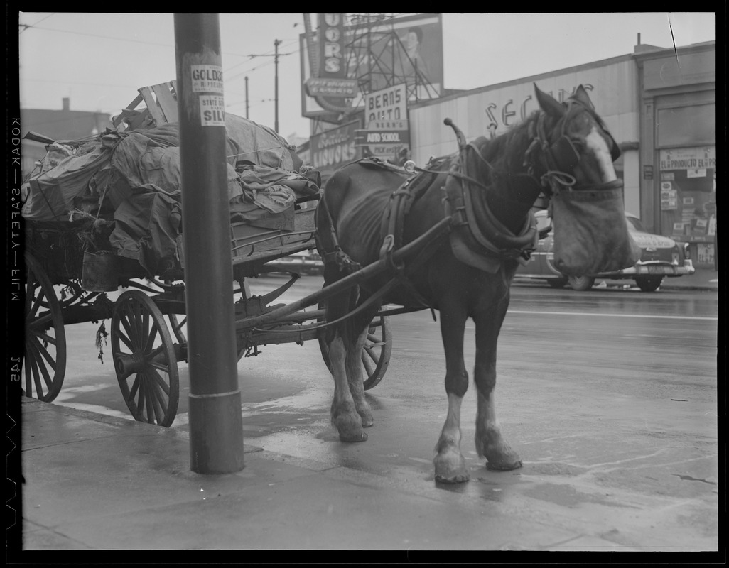 Junk collectors cart, Grove Hall, Dorchester - Digital Commonwealth