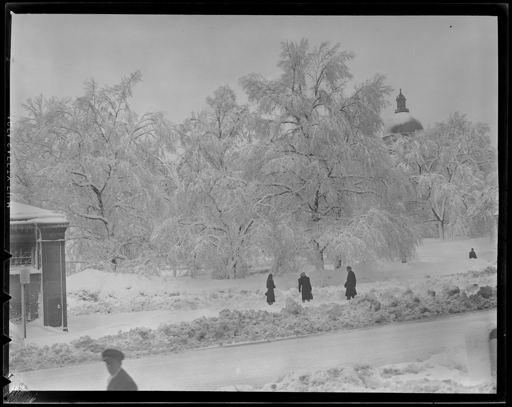 Boston Common and State House dome in the snow - Digital Commonwealth