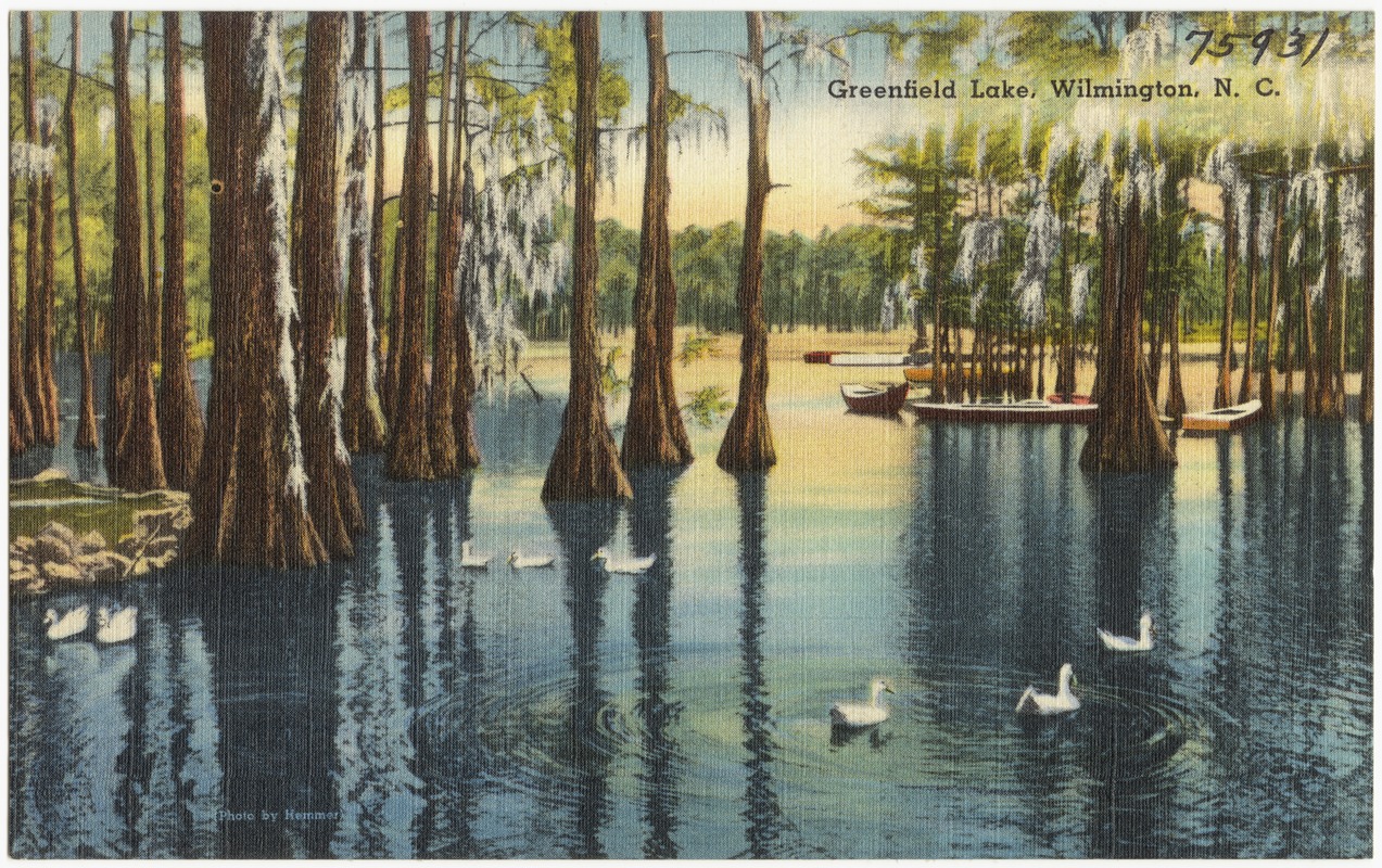 Greenfield Lake, Wilmington, N. C. - Digital Commonwealth