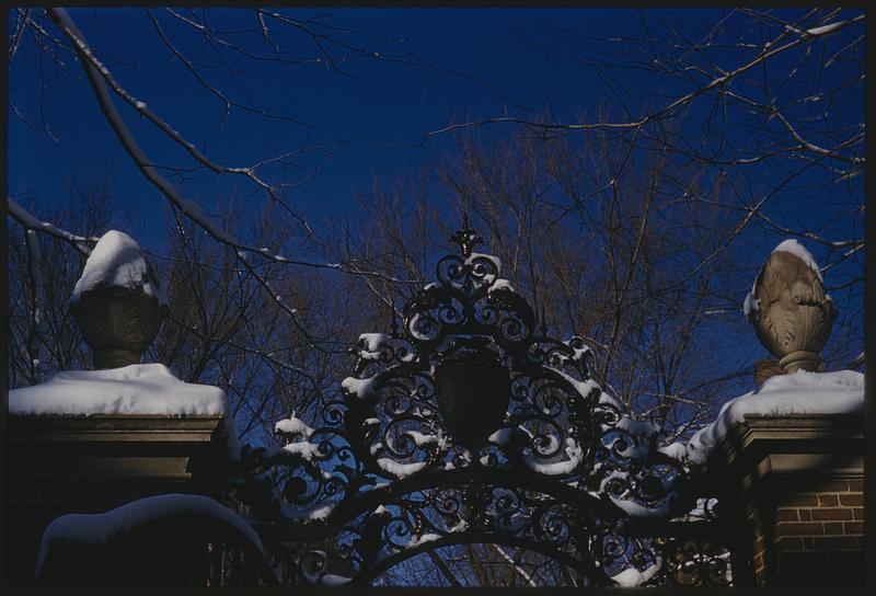 Snow-covered gate, Harvard University - Digital Commonwealth