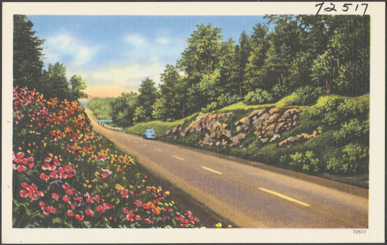 Tree and flower-lined road - Digital Commonwealth