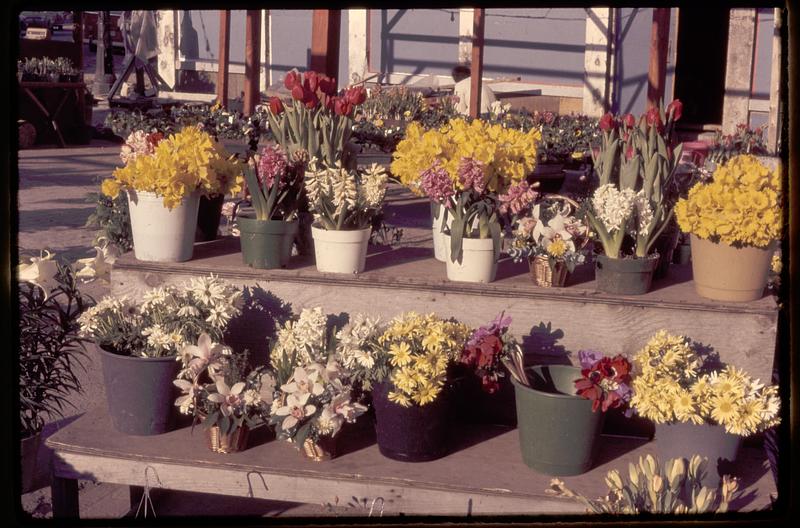 Merchant's Row North End at North Market Street Boston - Digital ...