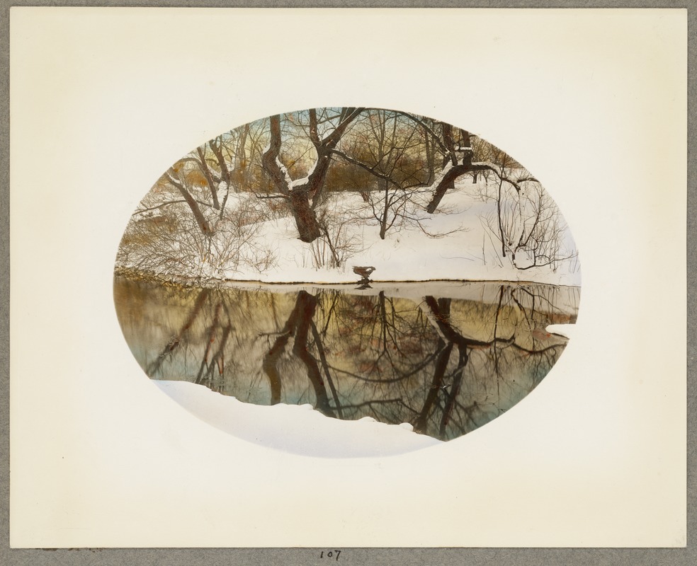 Willow pool - Digital Commonwealth