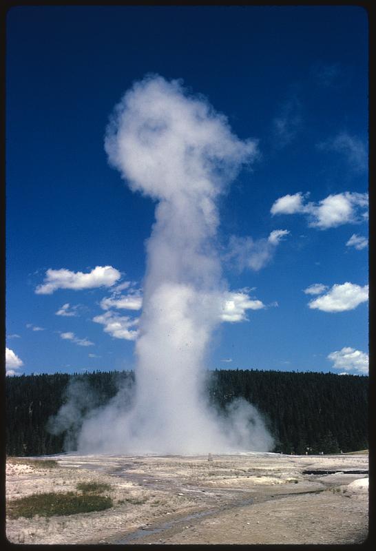 Plume of steam rising from spring in front of forest, Yellowstone ...