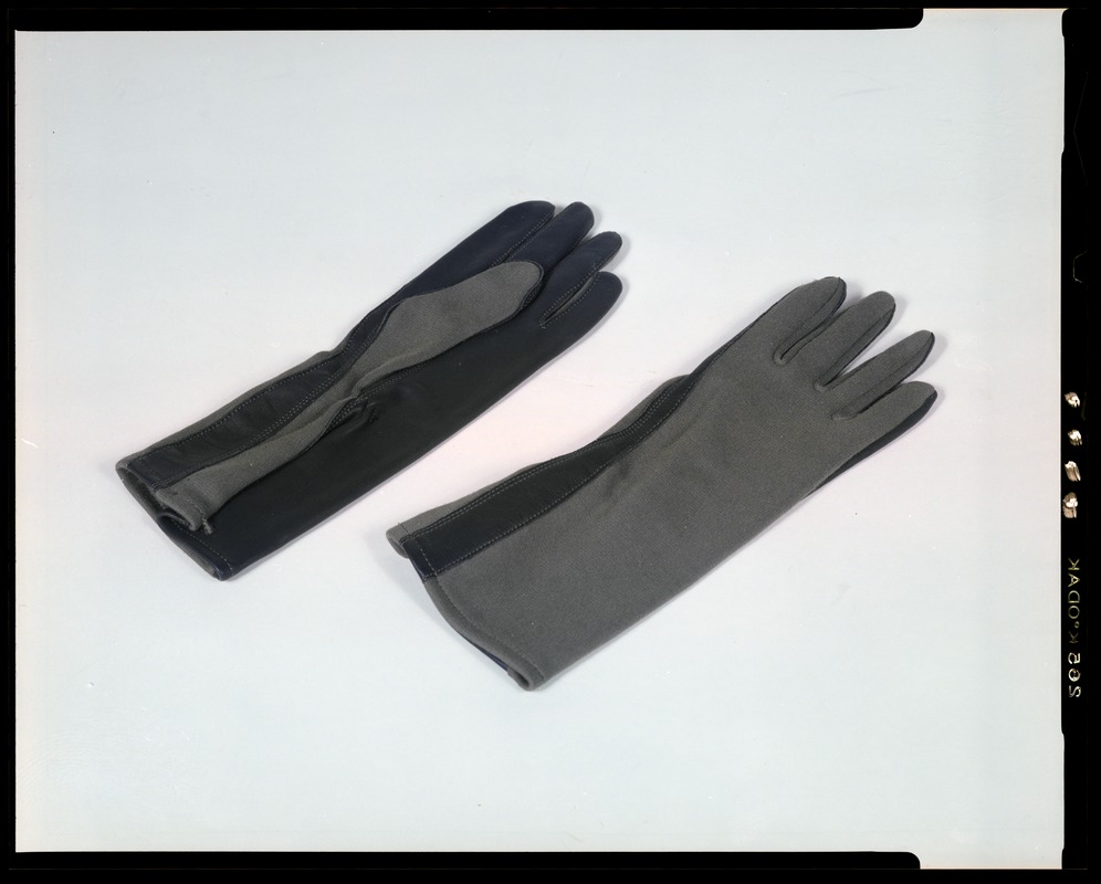 IPD, gloves, CVC, summer - Digital Commonwealth