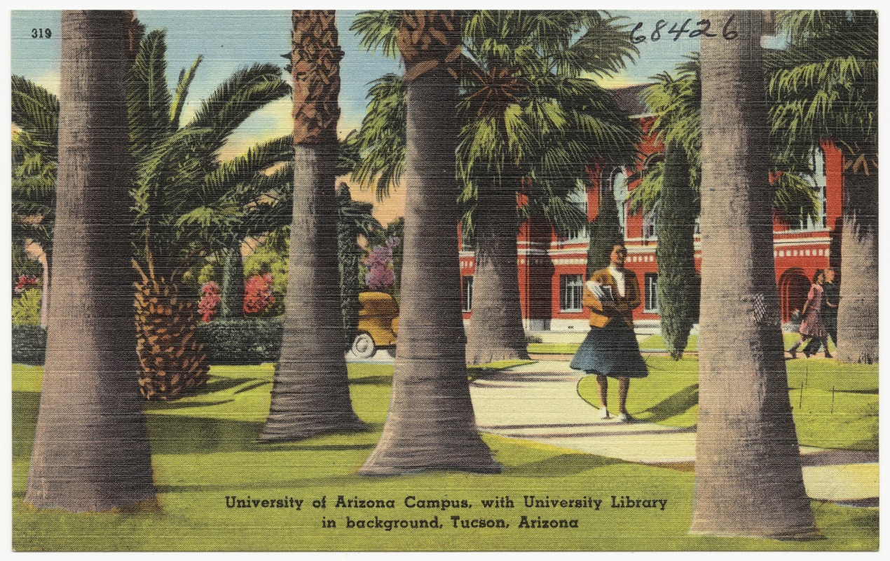 University of Arizona campus, with university library in background ...