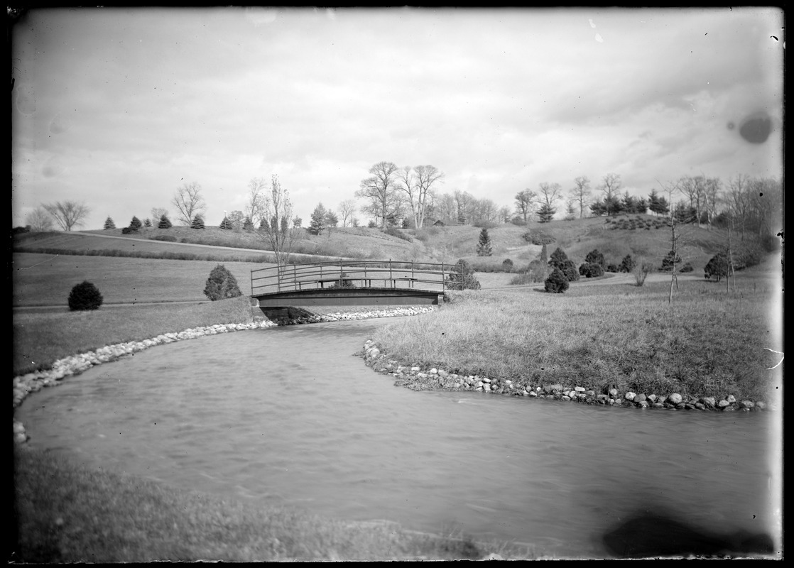 Forest Park, bridge - Digital Commonwealth