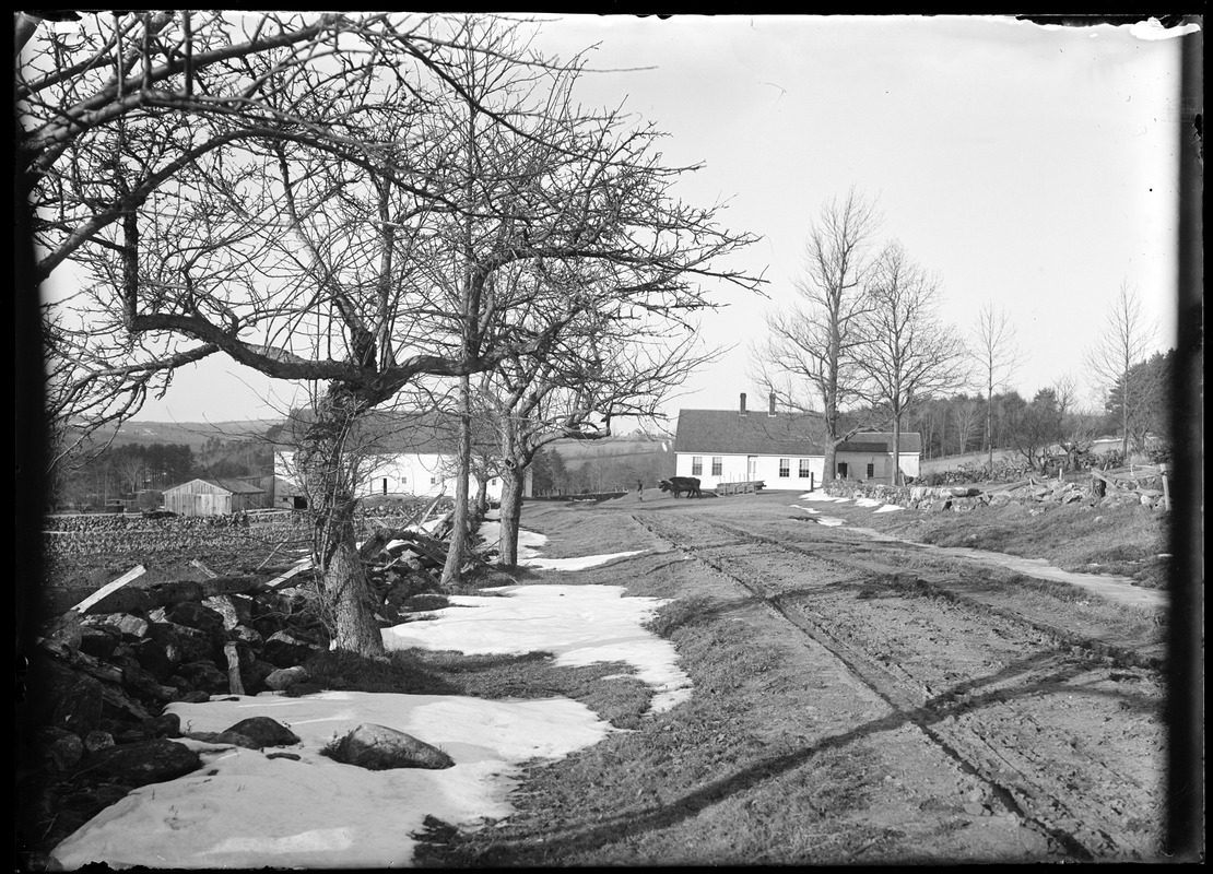 Vernon Prouty farm house Spencer - Digital Commonwealth