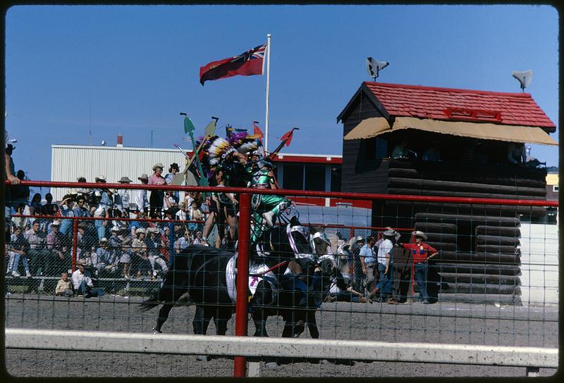 People standing on horses with flag, Calgary Stampede, Alberta ...