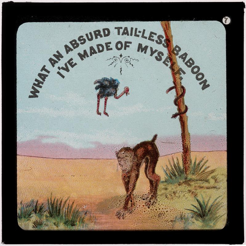 Monkey and ostrich - Digital Commonwealth