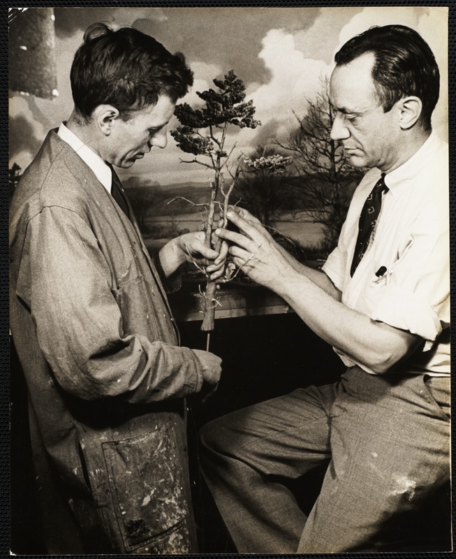 Harvard 2 - Digital Commonwealth